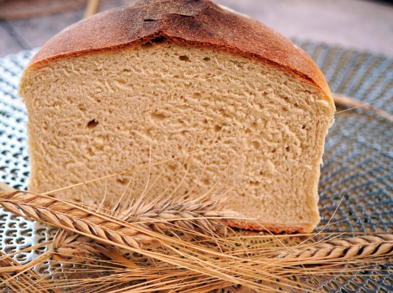 The Language of Loaves: A Journey Through Bread Names - The Knead for Bread